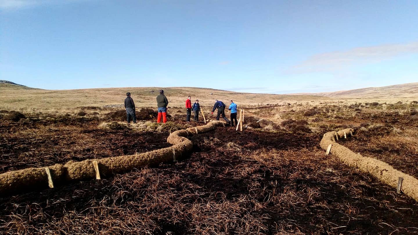 Peatlands and Uplands | Bannau Brycheiniog National Park Authority